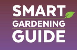 What Is Smart Gardening? - A Complete Guide