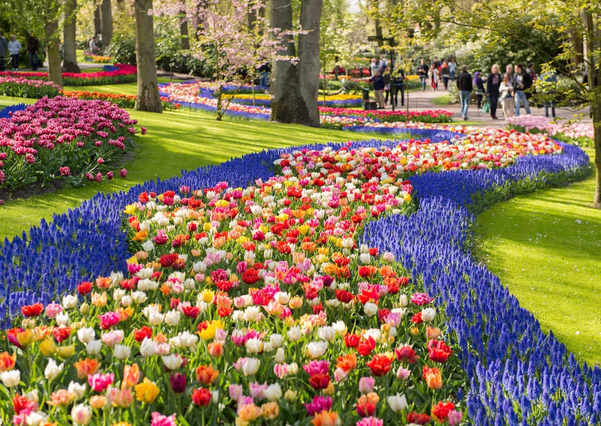 How To Flower Garden For Beginners 20 Beautiful Diy Flower Garden