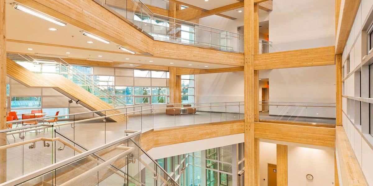 15 Different Types Of Woods Used In The Construction