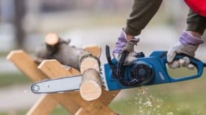 12 Best Wood Cutting Tools Names For Home Use