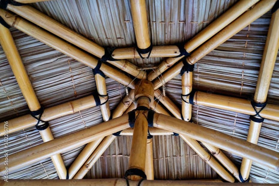 Bamboo As A Building Material: Is It The Right Choice?
