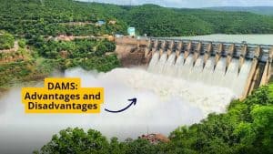 Top 4 Advantages And Disadvantages Of Dams