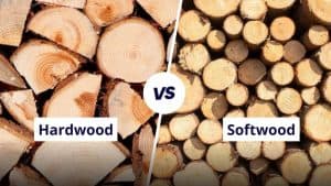 8 Difference Between Hardwood And Softwood.