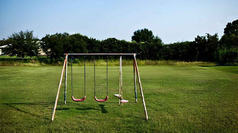 39+ Different Types Of Swings For Indoor & Outdoor Spaces!