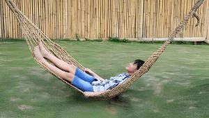 39+ Different Types Of Swings For Indoor & Outdoor Spaces!