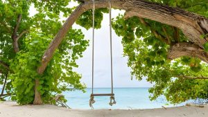39+ Different Types Of Swings For Indoor & Outdoor Spaces!